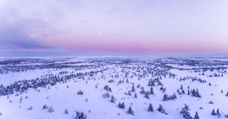 Aerial Landscape Photography: Seeing from above | Animals Pics